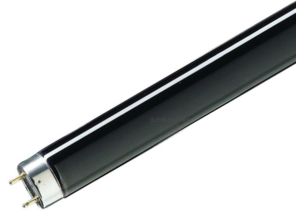 Philips TL-D blacklight Blue 36W/BLB , (120 cm)