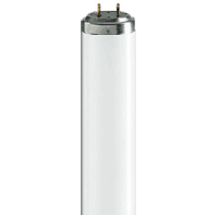 PHILIPS Philinea lamp